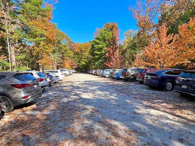 Full parking lots during peak season prove that locals know exactly where to find their weekend sanity.