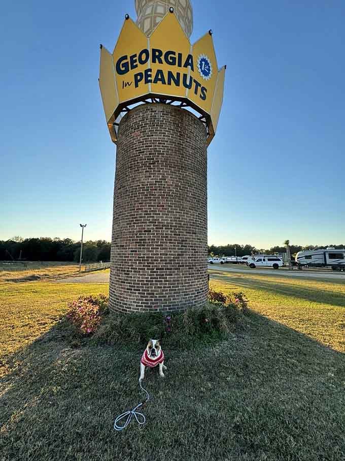 Even the family dog knows this is something special, though he's probably just hoping for actual peanut butter treats.