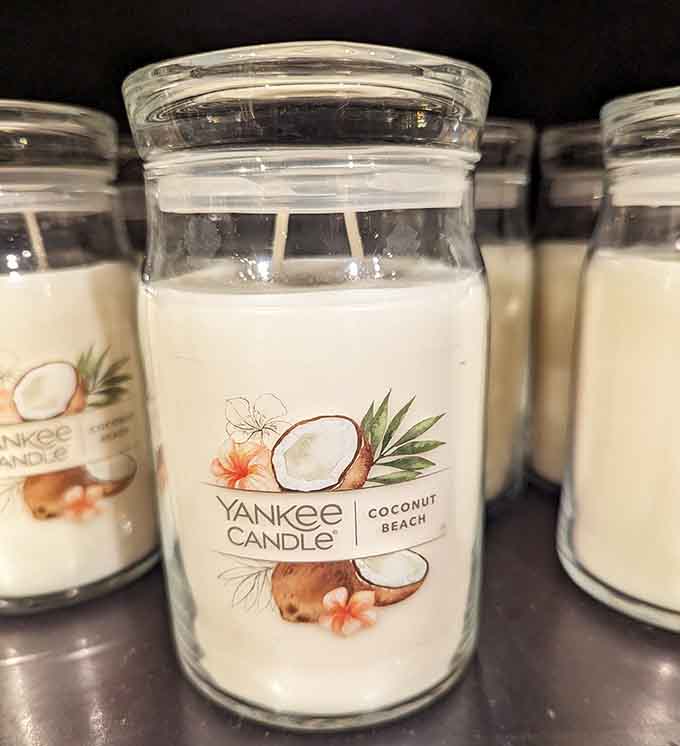 Coconut Beach promises to transport your living room to the tropics, minus the sand in uncomfortable places and sunburn regrets.