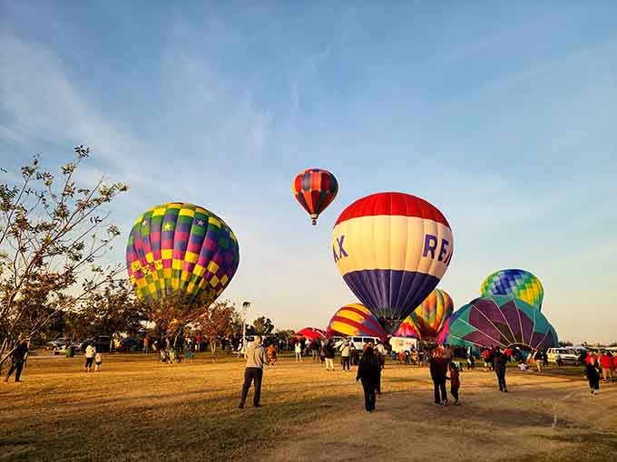 Hot air balloons drift over West Wetlands Park, adding whimsy to an already picturesque river landscape below.