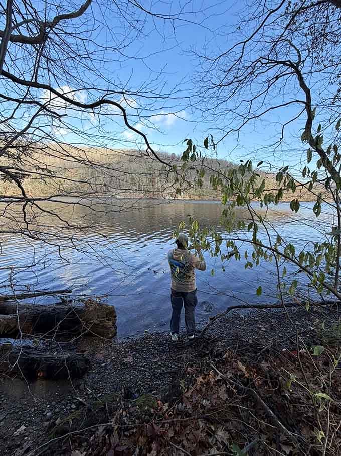Where forest meets water, nature creates the perfect spot for contemplation, photography, or simply standing still and feeling grateful.