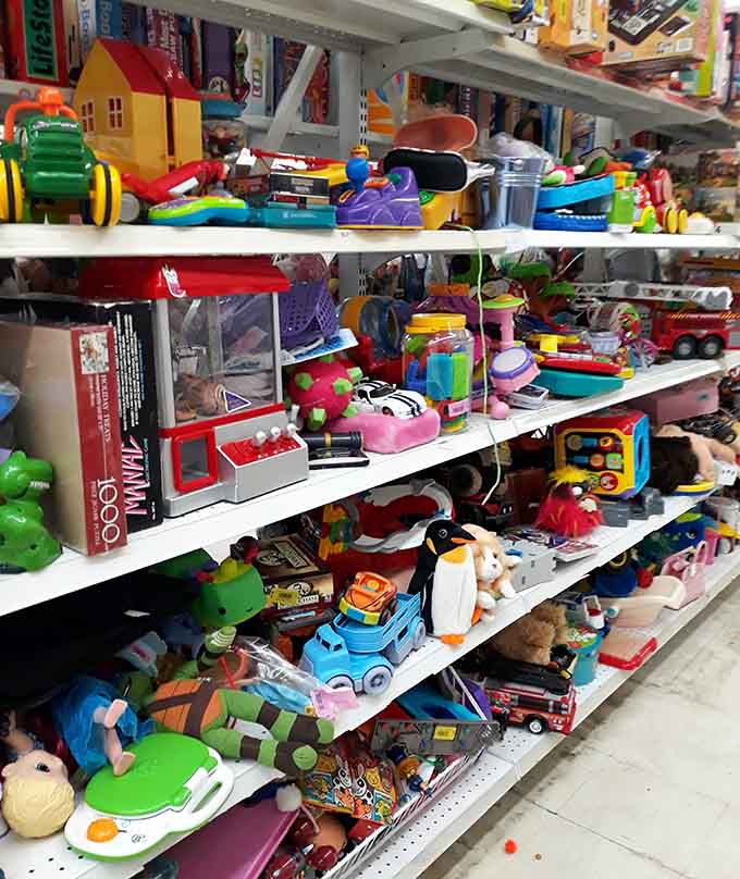 Toys crowd the shelves in colorful abundance, delighting kids while keeping parents' budgets happily intact.