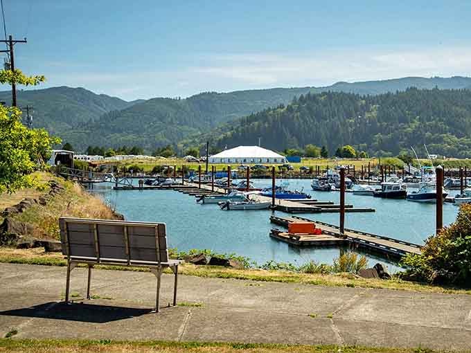 A simple bench overlooking the marina offers the best seat in town for watching boats bob and seals play.