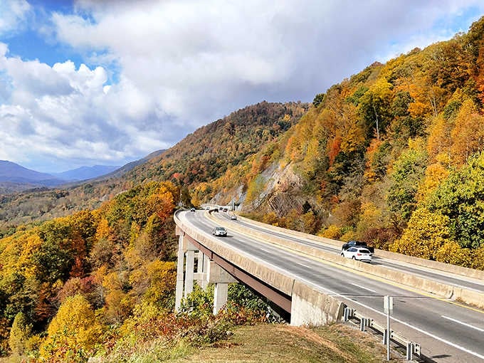 Fall colors explode across mountain ridges in a display that makes you pull over just to stare.