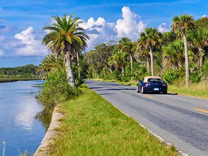 Palm trees and waterway views combine perfectly along this coastal stretch where nature provides the entertainment.