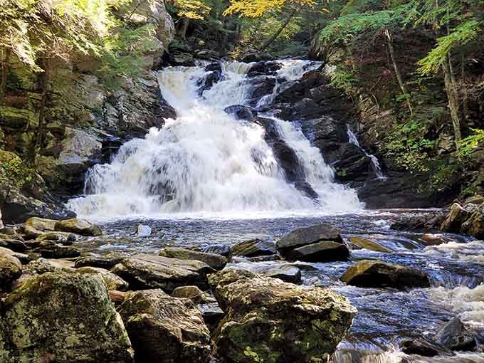 Rushing whitewater tumbles over moss-covered rocks in a display of raw power that's somehow also incredibly soothing.