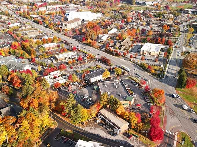 Fall colors explode across the landscape like Mother Nature showing off her entire paint collection at once.