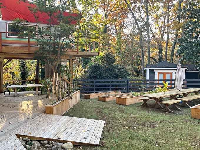 Community spaces where strangers become friends over shared amazement at their surroundings and life choices.