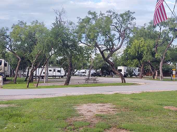 RV parks welcome travelers and retirees seeking affordable Texas living with all the amenities minus the financial stress.