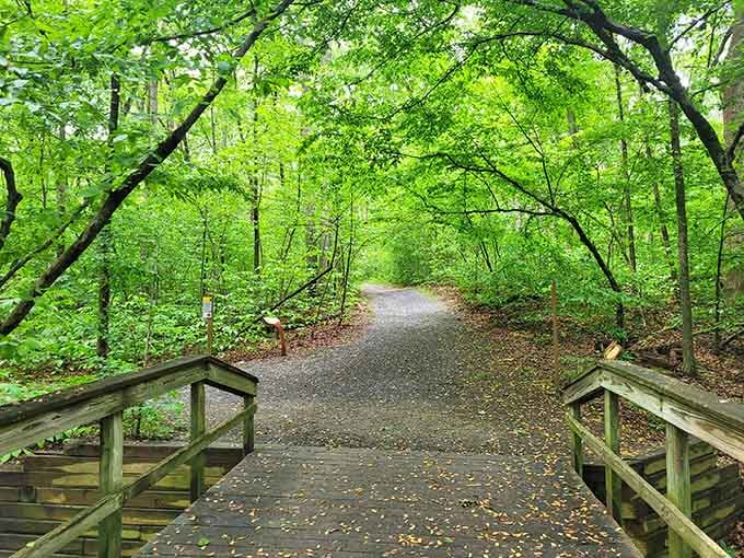 This inviting bridge beckons you into green tunnels where the outside world fades with every step forward.