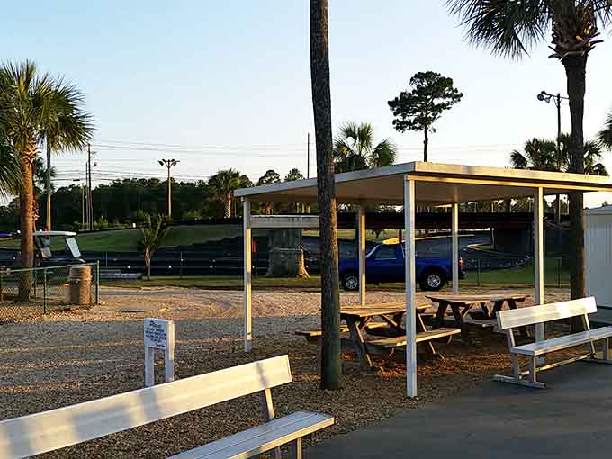 Shaded picnic areas prove that sometimes the best attraction is simply sitting down after all that activity.