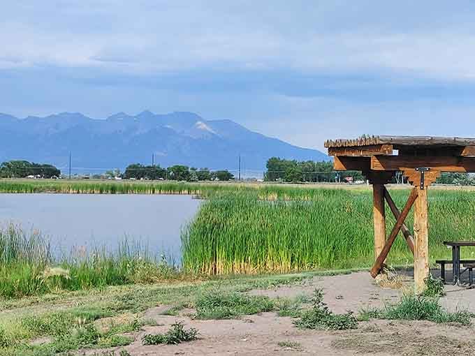 Blanca Vista Park offers wetland views and mountain panoramas that cost absolutely nothing to enjoy.
