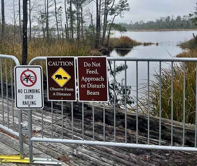 These signs aren't suggestions, they're the rules that keep both you and the bears happy and healthy.