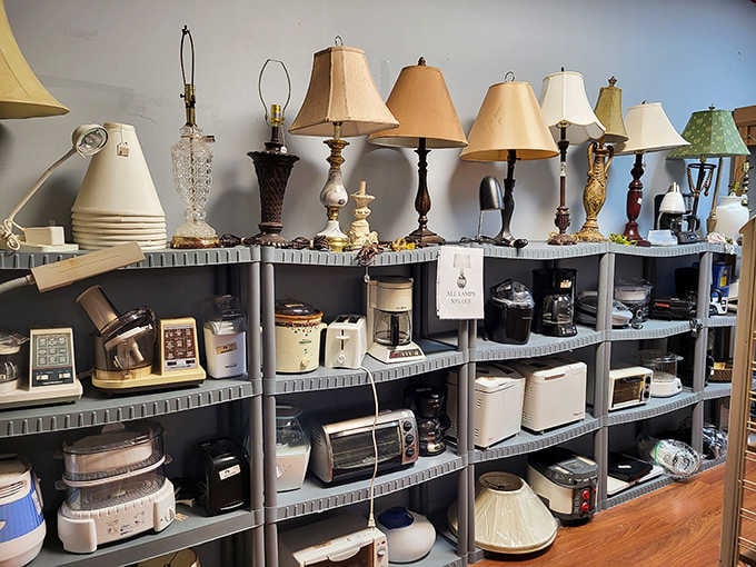 Small appliances and lamps creating a landscape of domestic possibilities at prices that spark joy.