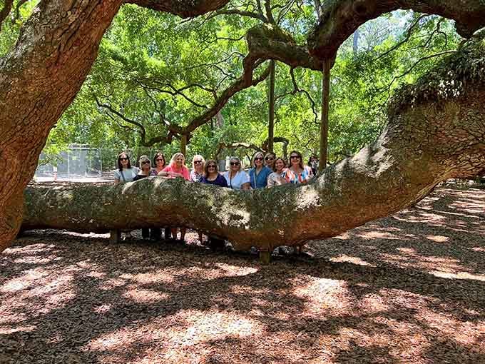 When the branch is big enough to fit your entire family photo, you know it's special.