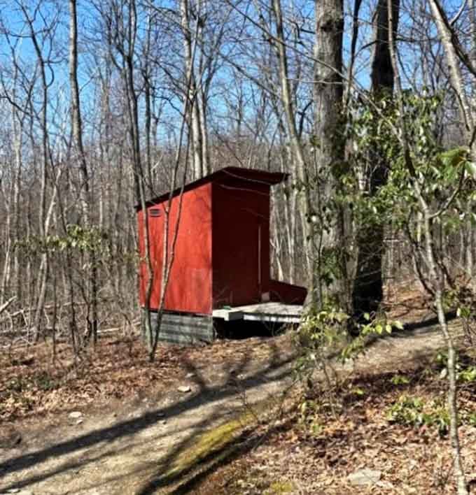 Even the facilities blend into nature here, proving that practicality and wilderness can coexist harmoniously together.