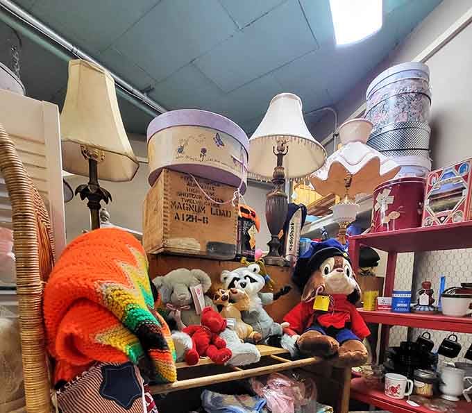 Vintage lamps and lighting fixtures ready to illuminate your home with character that modern stores simply cannot replicate.