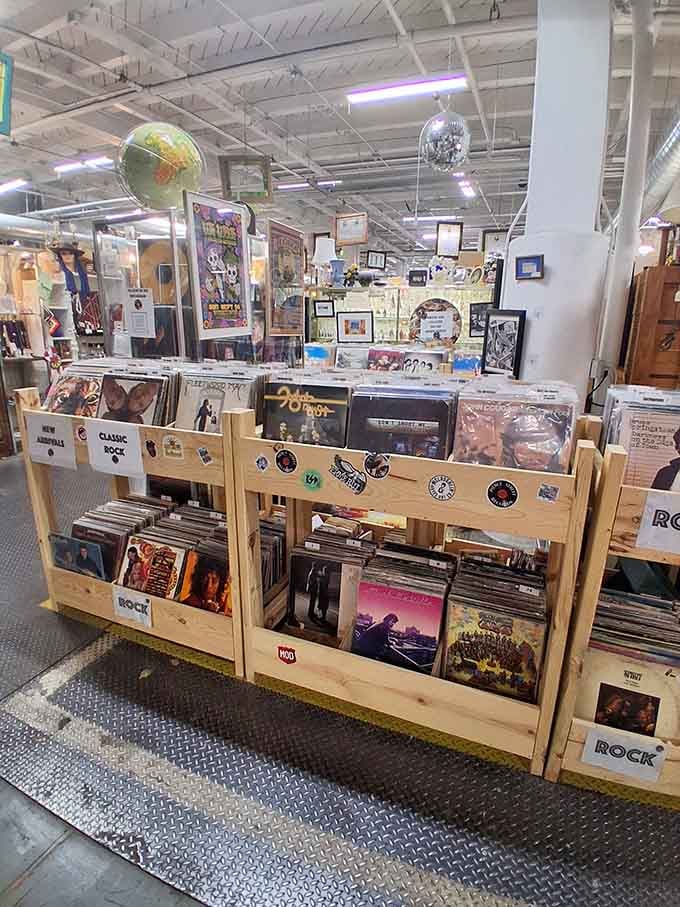 Vinyl records organized by genre, waiting to spin again on turntables that hipsters swear sound better.