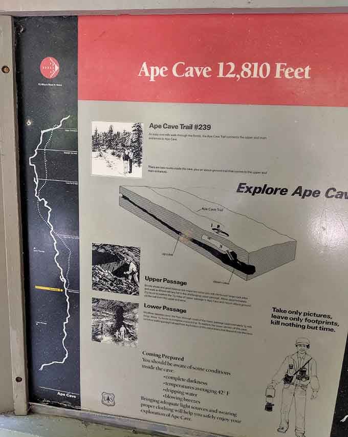Twelve thousand, eight hundred and ten feet of lava tube. That's not a cave, that's a commitment.