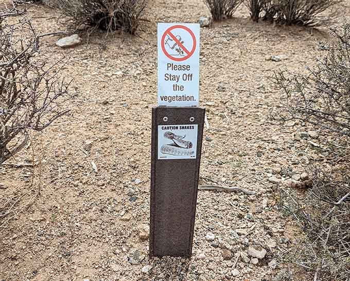Fair warning: the local wildlife takes social distancing seriously, especially the ones with rattles and attitude.