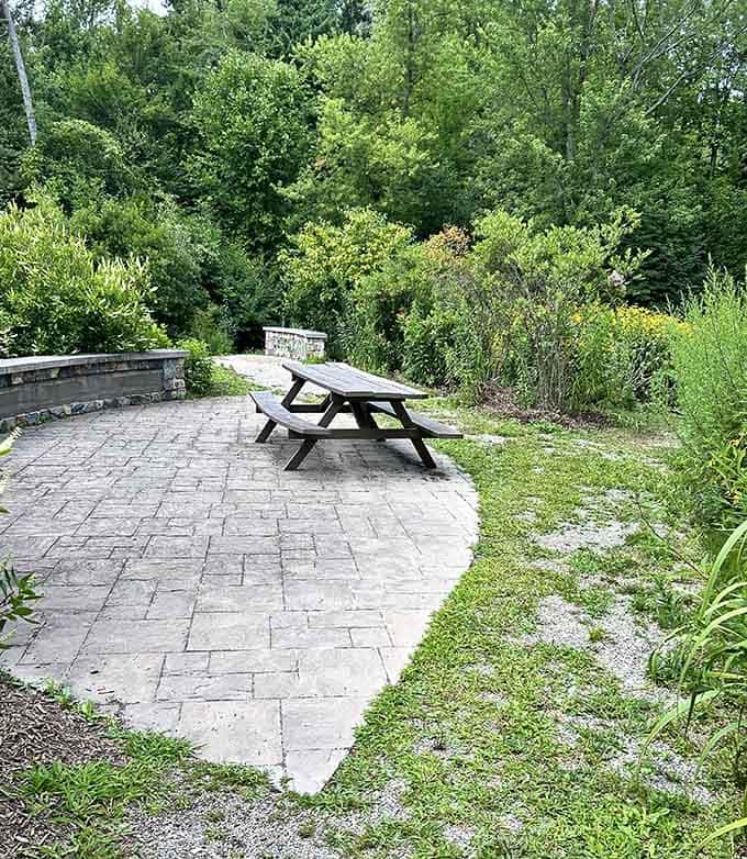 A quiet picnic spot where you can enjoy lunch without fighting off aggressive seagulls or dodging frisbees gone rogue.