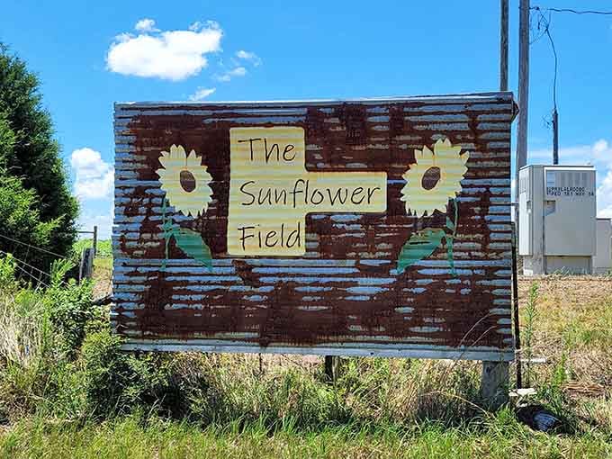 The rustic welcome sign promises exactly what it delivers: a field full of sunshine and pure joy.