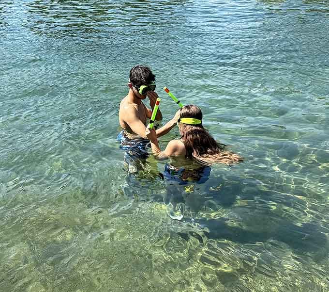Teaching the next generation to snorkel in spring-fed clarity beats any chlorinated pool lesson you ever took.