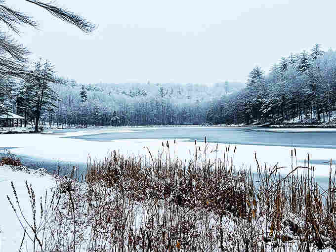 Winter transforms the reservoir into a frozen masterpiece, offering views that rival any expensive landscape painting you'd buy.