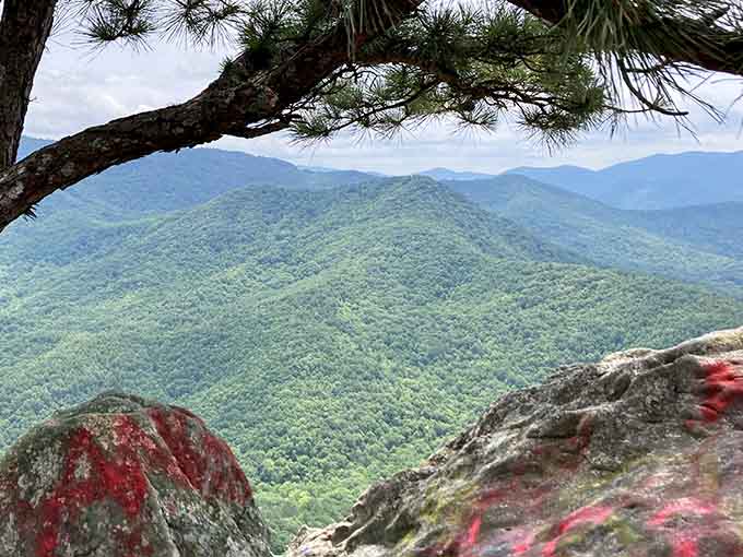 Mountains rolling into the distance remind you that Georgia's got layers of beauty to explore forever.