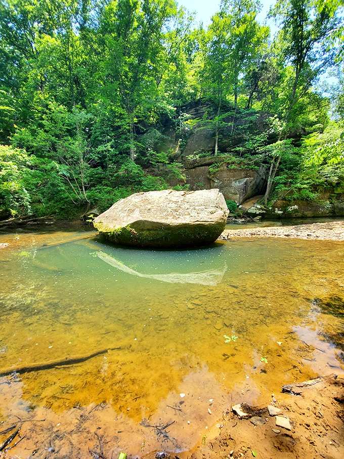 Natural pools that shift between amber and emerald depending on the light, like mood rings for the earth.