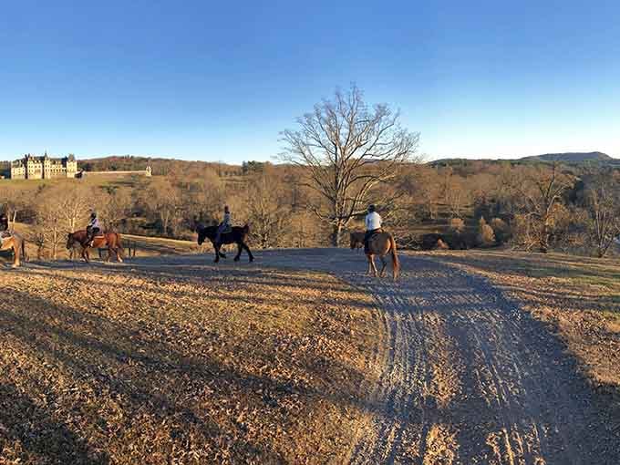 Trail riders heading out at golden hour, proving some commutes are actually worth waking up for.