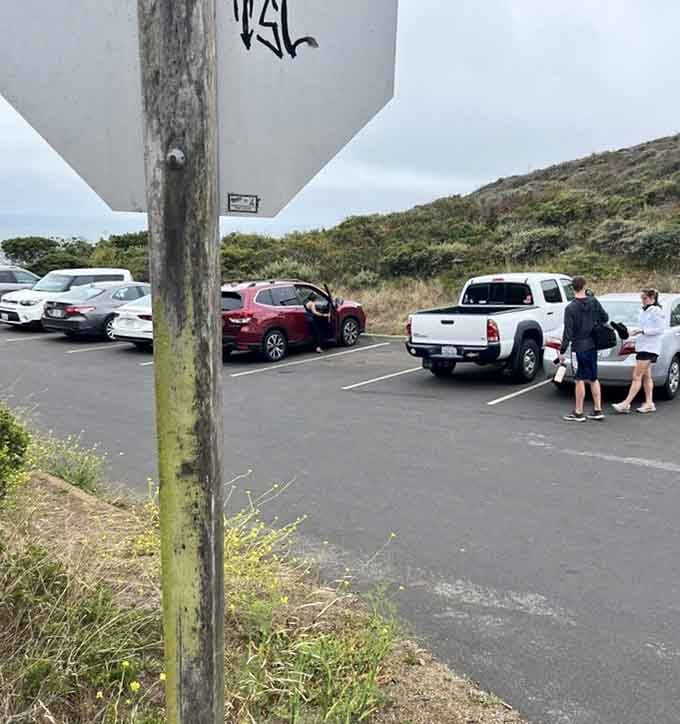 The parking lot fills with fellow adventurers who know the best discoveries require a little effort.
