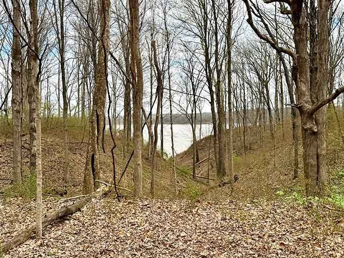 Lake glimpses through winter-bare trees offer peaceful water views that make you want to sit and contemplate life's bigger questions.