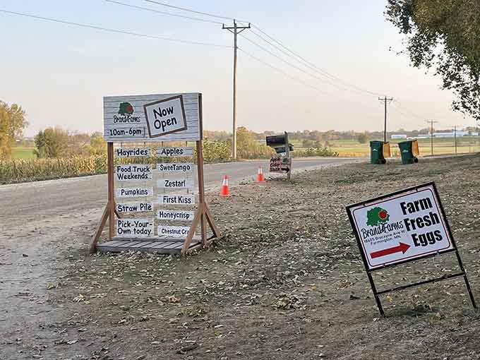 Roadside signs announce seasonal offerings, from hayrides to pumpkins, keeping every visit feeling completely fresh.