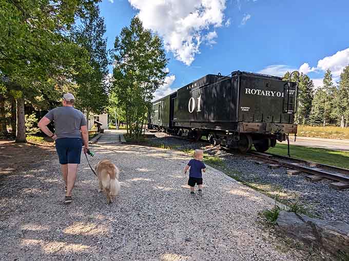 Families stroll past historic railcars with their dogs, enjoying free entertainment that beats expensive theme parks any day of the week.