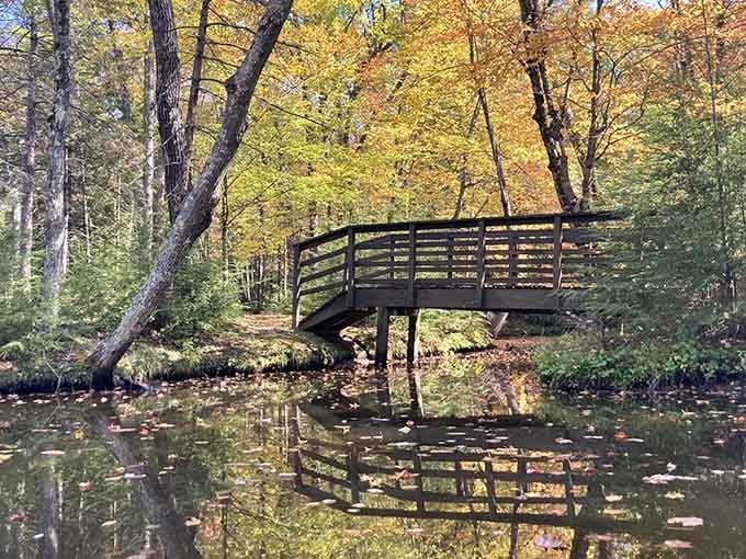Wooden bridges reflecting in calm water create those postcard moments that make your camera roll actually worth scrolling.