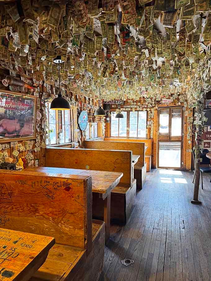 Those hand-carved wooden benches have supported countless conversations, cold beers, and the kind of meals that become cherished memories.