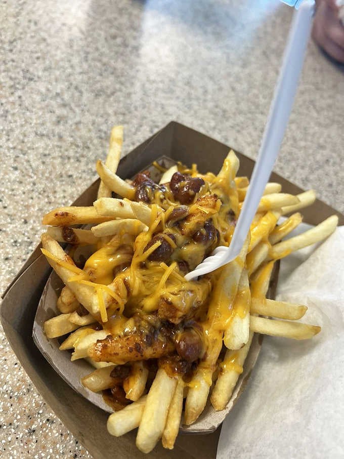 Chili cheese fries topped with what appears to be an entire pot of chili, because subtlety has no place here.