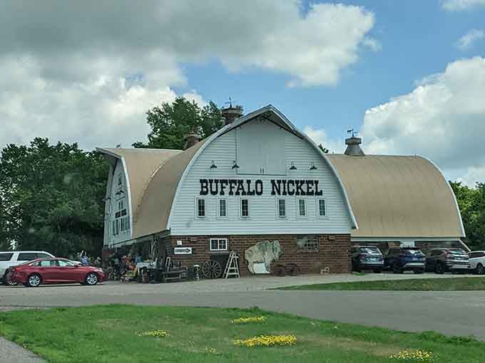 The Buffalo Nickel barn commands attention from the road, its curved roof and bold lettering drawing antique lovers like moths.