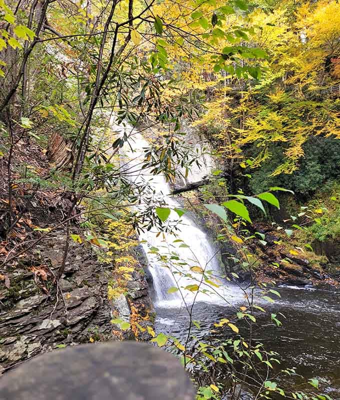 Golden leaves frame the distant waterfall, proving October might just be the Poconos' most photogenic month of all.