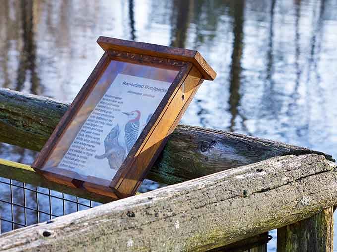 Informative trail markers help identify species and habitats, turning casual strolls into educational expeditions through diverse ecosystems.