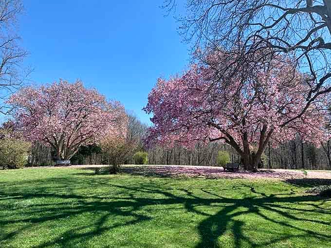 Spring blooms transform the landscape into something worthy of those screensavers people actually pay money for.