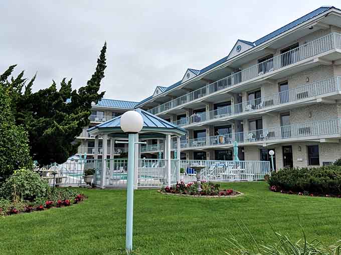 Classic Cape May accommodations blend historic charm with modern comfort, offering pristine grounds and those iconic wraparound porches for relaxing.