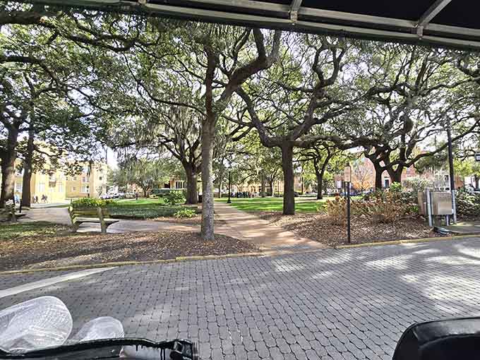 Town squares framed by ancient oaks provide perfect pause points for stories, photos, and pure Southern atmosphere.