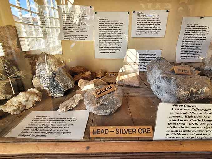 Actual ore specimens display the geological treasures that drew thousands to these unforgiving mountains seeking their fortunes and futures.
