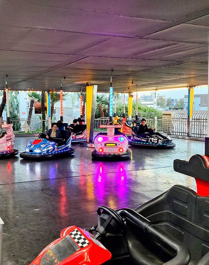 Bumper cars transform mild-mannered visitors into demolition derby champions, all in the name of wholesome family fun.