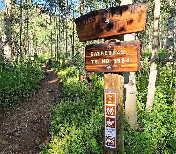 The trailhead sign reminds hikers that dogs need leashes here, because even good boys need rules in wilderness areas.