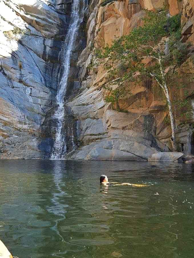 One brave soul takes the plunge into that emerald pool, living the dream we're all secretly thinking about right now.
