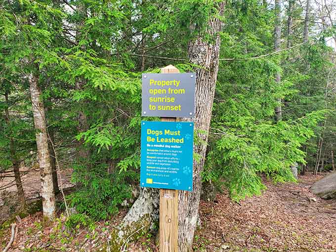 Simple reminders help visitors enjoy this treasure responsibly, because some things are worth protecting forever.