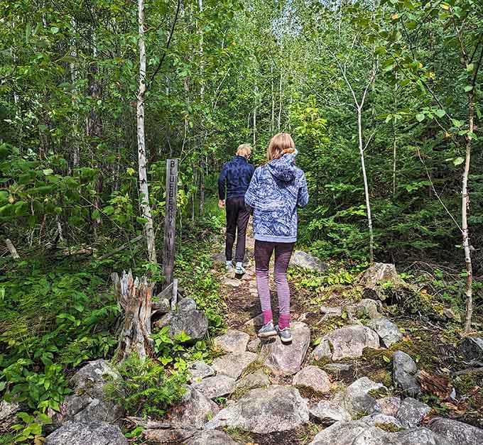 Young hikers discover that nature trails beat screen time when adventure calls from the forest ahead.